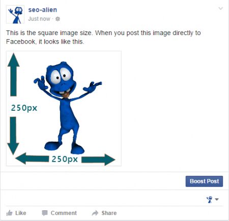 3 Different Facebook Post Image Sizes and When to Use Them | SEO-Alien