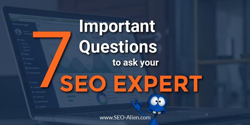 7 Important Questions That You Should Ask Your SEO Expert | SEO-Alien